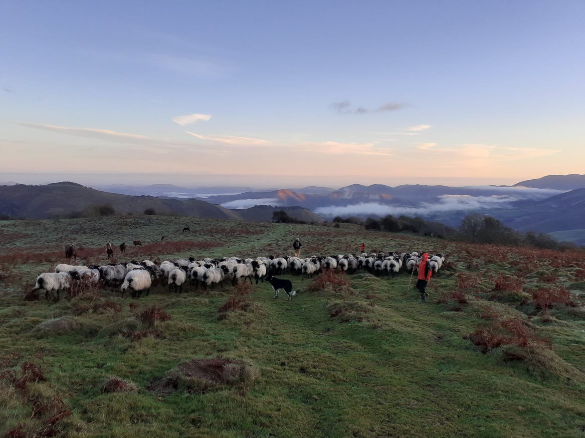 Déguster - Mairie d'Estérençuby